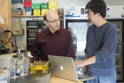 Robert G. Roeder And Ming Yu, [IMAGE] | EurekAlert! Science News Releases