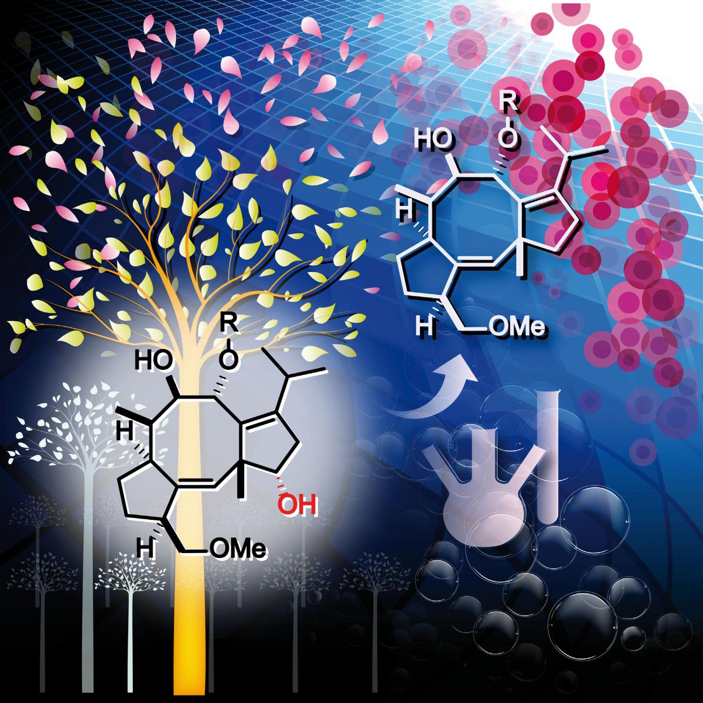 Image 2 Fusicoccin [IMAGE] | EurekAlert! Science News Releases