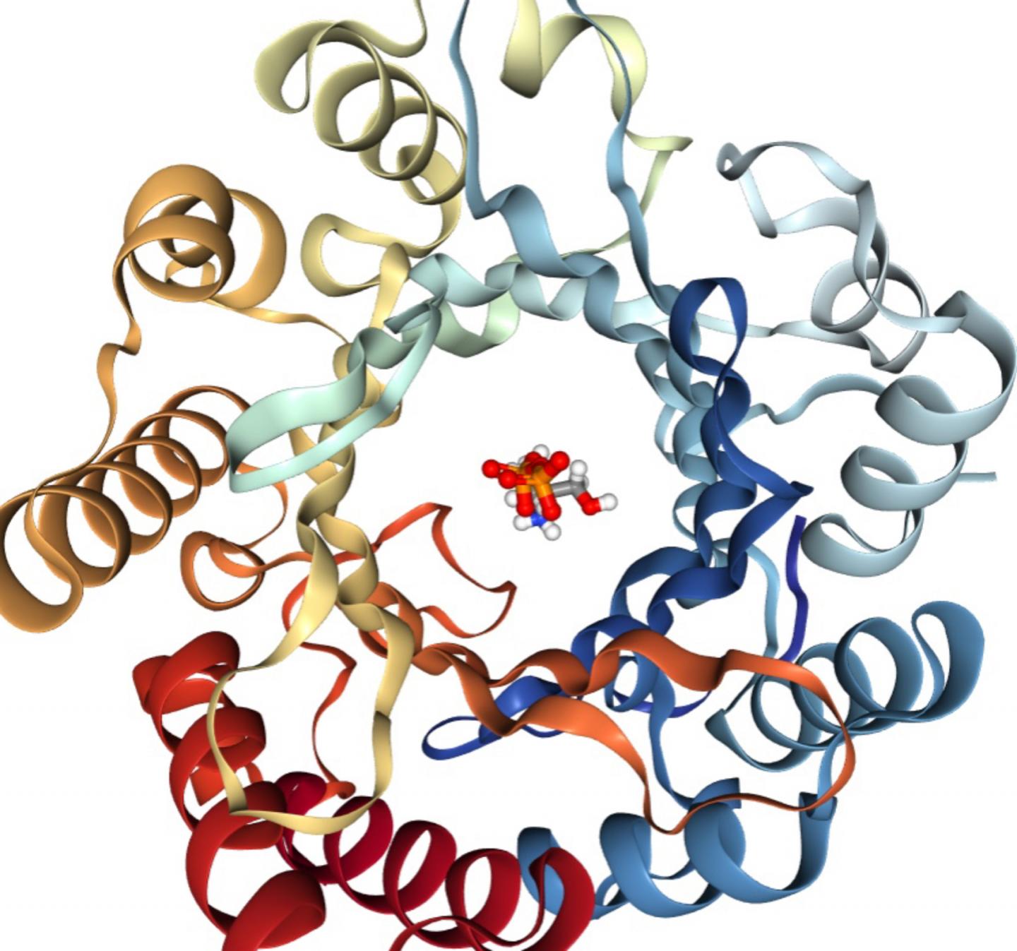 PriB Enzyme [IMAGE] | EurekAlert! Science News Releases