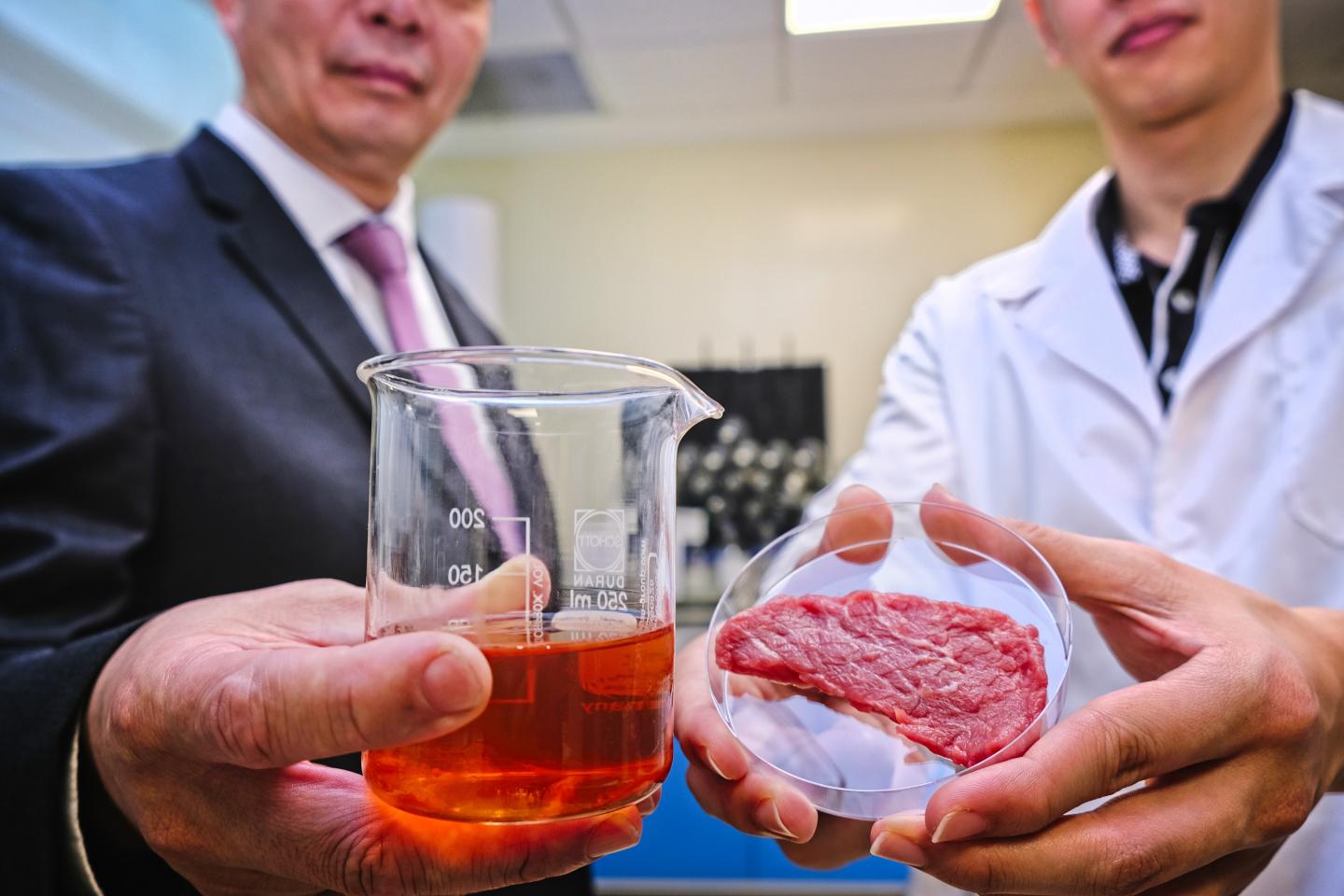 Breakthrough in Organic Preser [IMAGE] | EurekAlert! Science News Releases