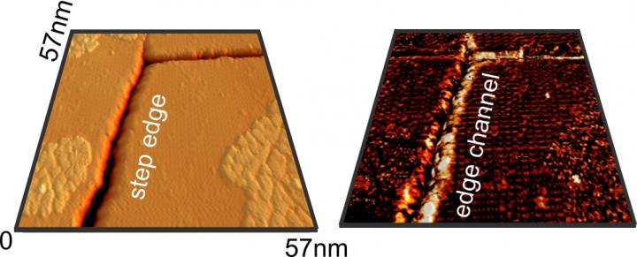 Surface Step [IMAGE] | EurekAlert! Science News Releases