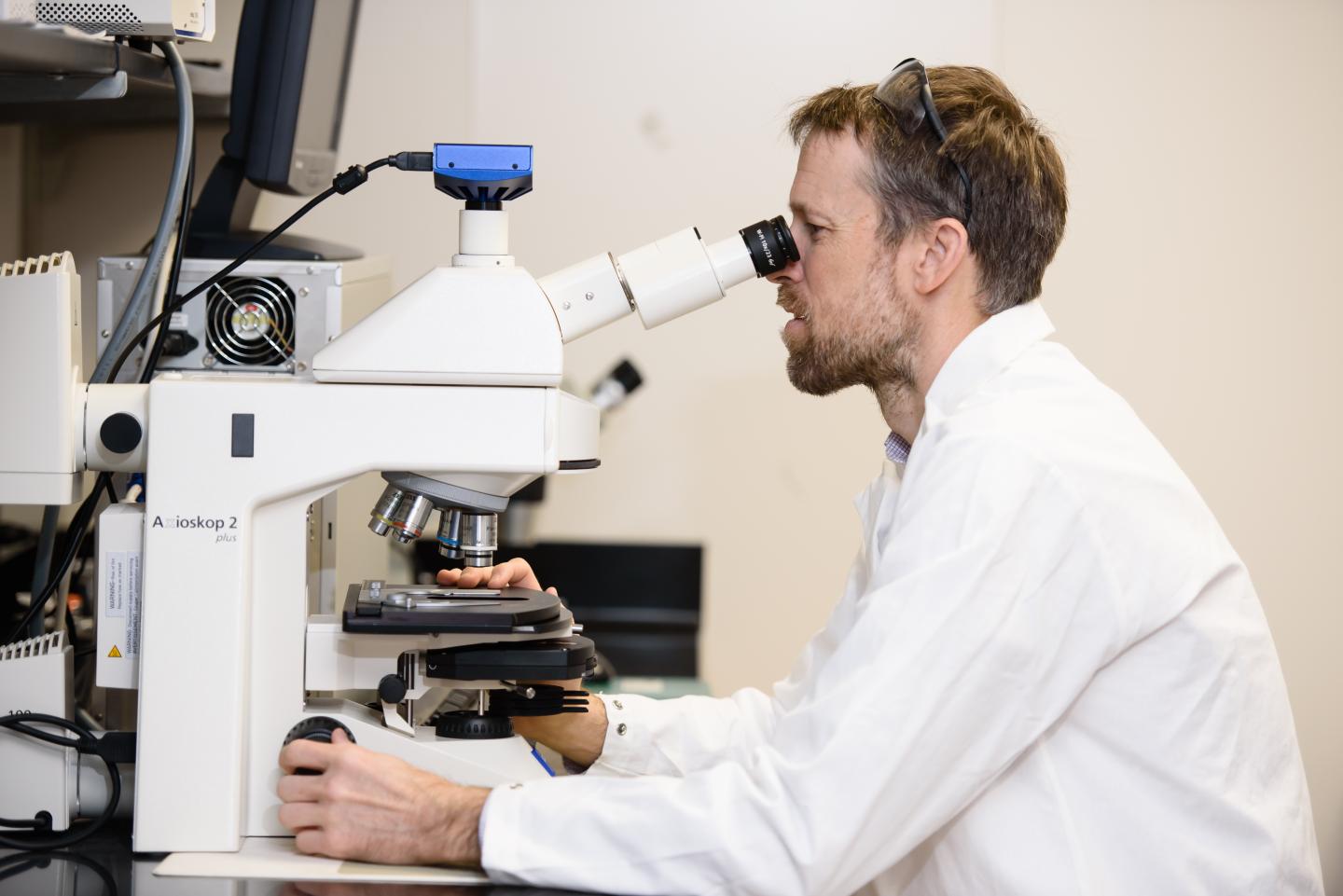 Alex Pullen, Clemson Universit [IMAGE] | EurekAlert! Science News Releases