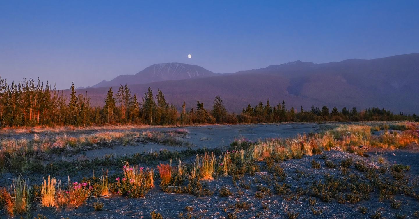 Seed Predation Increases Towar [IMAGE] | EurekAlert! Science News Releases