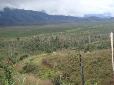 Record of Early Humans in the New Guinea High | EurekAlert!