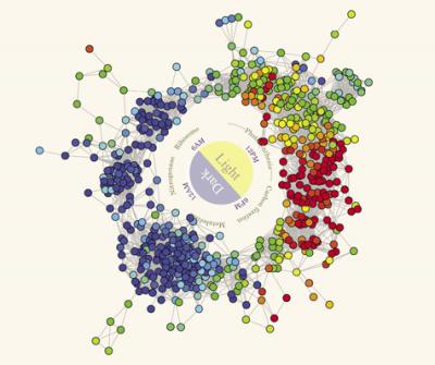 Molecule Network Map Typical o [IMAGE] | EurekAlert! Science News Releases