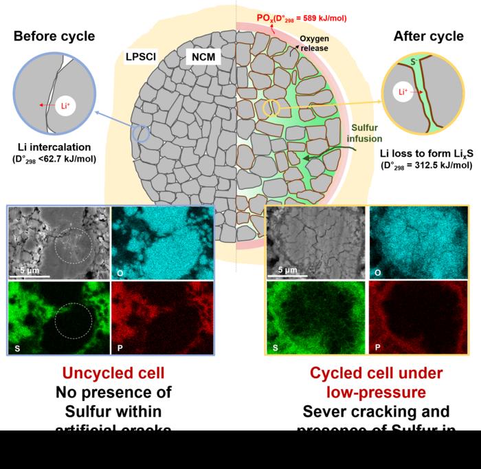 Figure 2 [IMAGE] | EurekAlert! Science News Releases