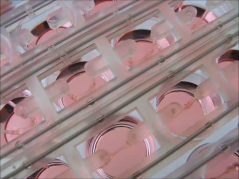 Engineered Heart Tissue Patches Up the Failin | EurekAlert!