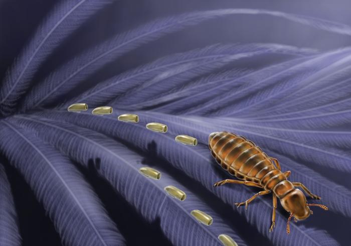 Ecological reconstruction of C [IMAGE] | EurekAlert! Science News Releases