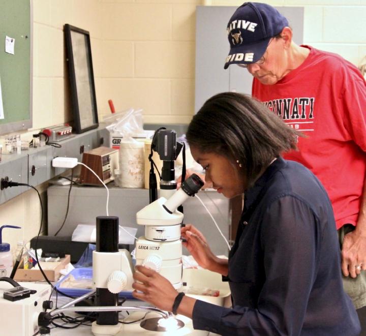 Platinum is key in ancient volcanic related c | EurekAlert!