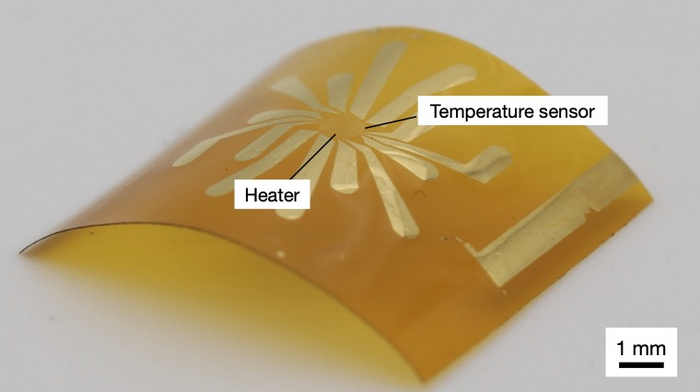 Flexible micromechanical syste [IMAGE] | EurekAlert! Science News Releases
