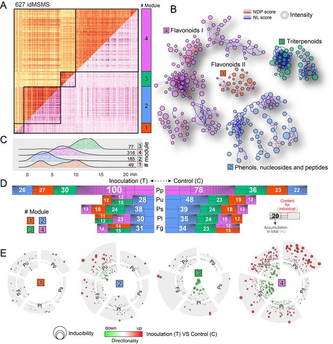 Decoding the biochemical dialogue: Metabolomi | EurekAlert!