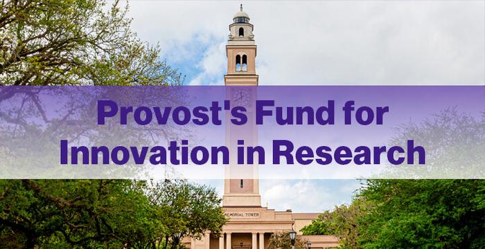 2024 LSU Provost’s Fund for In [IMAGE] | EurekAlert! Science News Releases