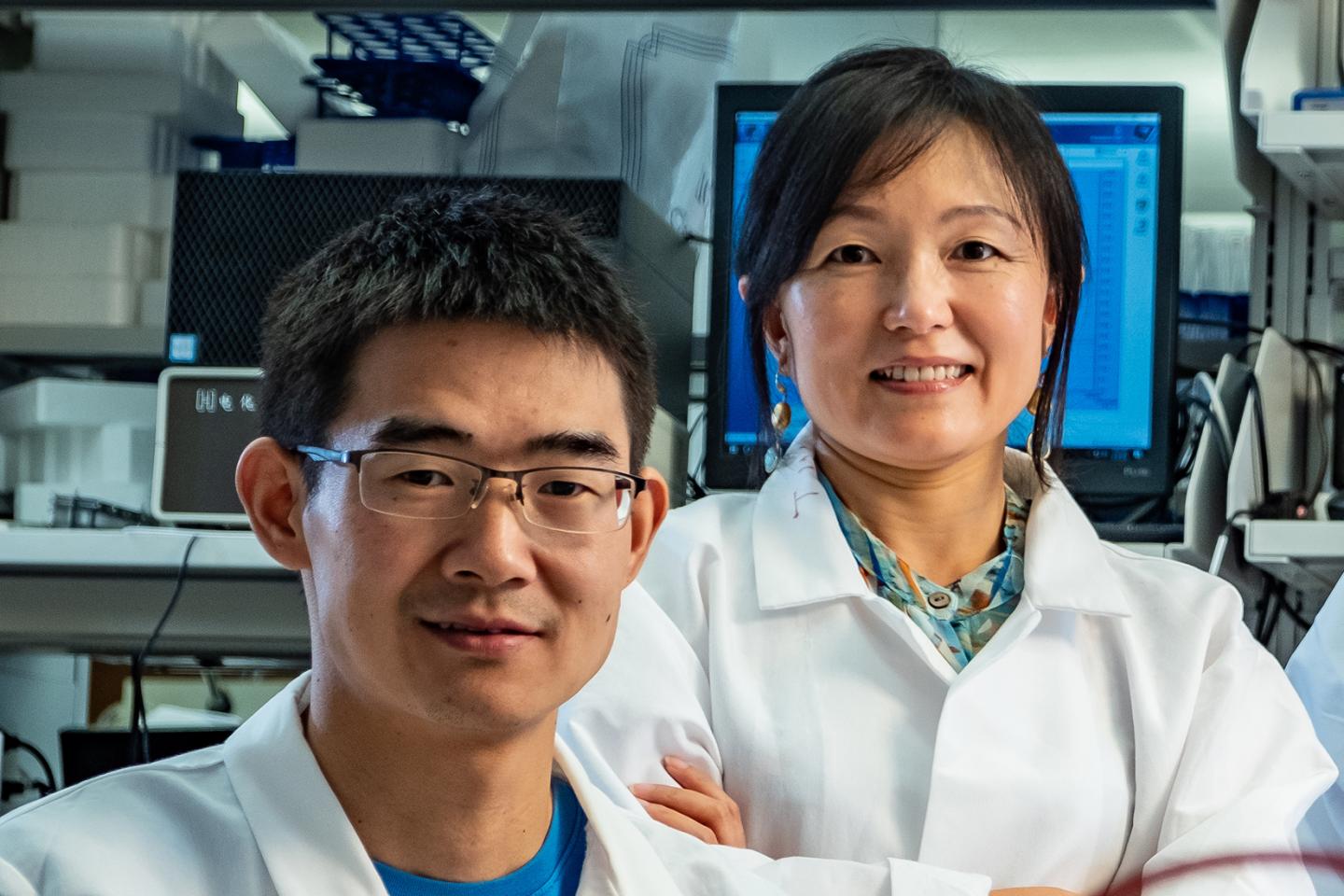 Qilin Li and Kuichang Zuo [IMAGE] | EurekAlert! Science News Releases