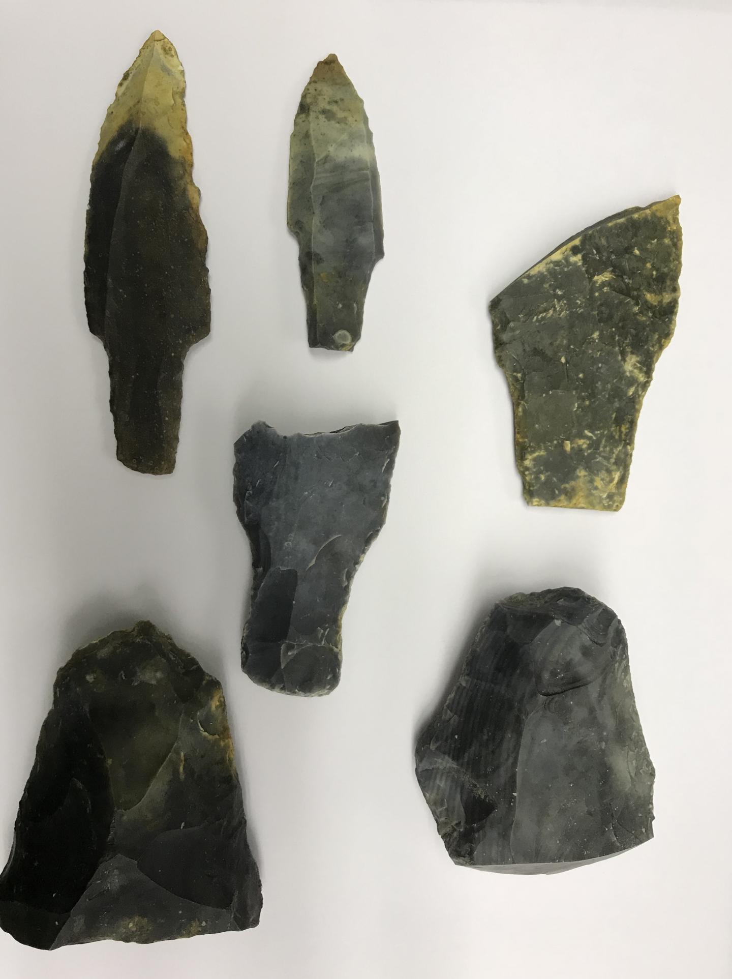 Ancient Maya Stone Tools [IMAGE] | EurekAlert! Science News Releases