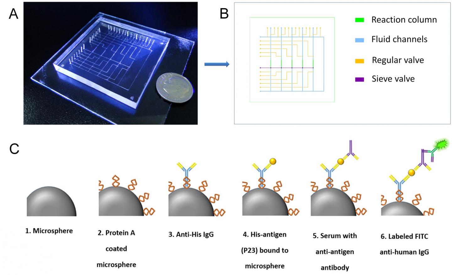 Microfluidic Device with a Dim [IMAGE] | EurekAlert! Science News Releases