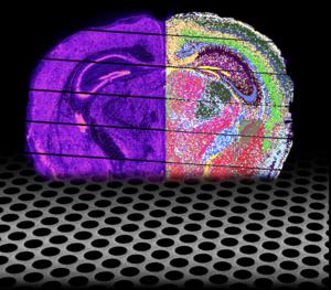 New open-source platform for high-resolution | EurekAlert!