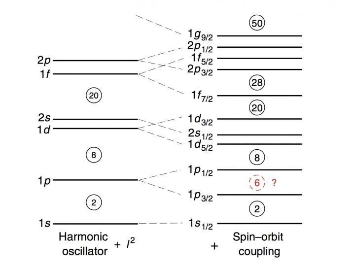 Figure 1 [IMAGE] | EurekAlert! Science News Releases