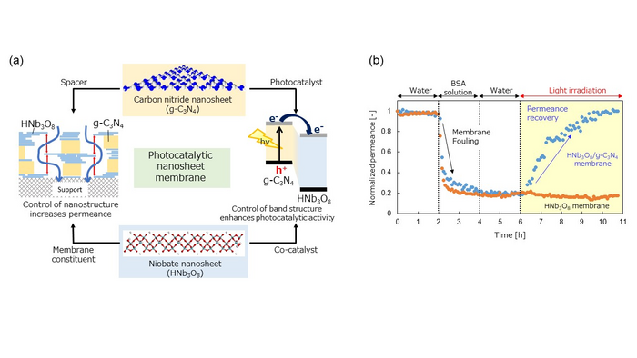 Figure 2. [IMAGE] | EurekAlert! Science News Releases