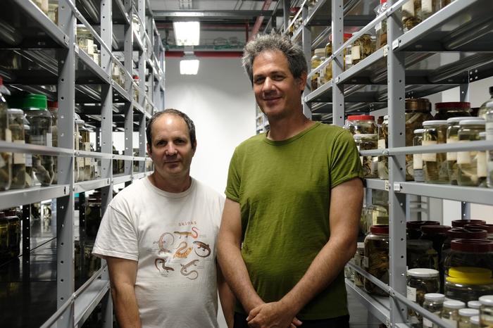 Left to right: Prof. Shai Meir [IMAGE] | EurekAlert! Science News Releases