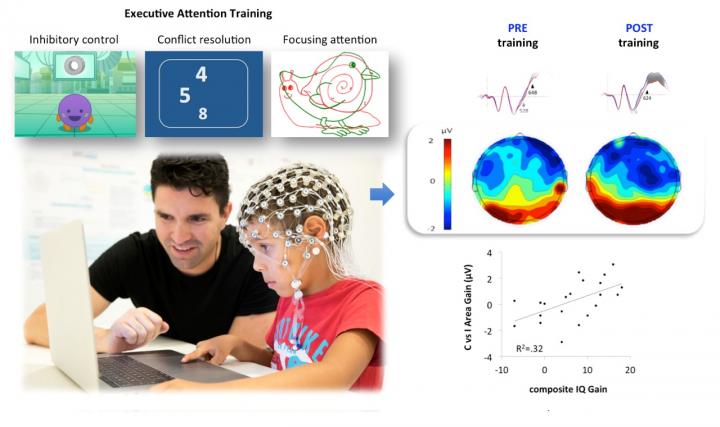 Attention training improves intelligence and | EurekAlert!