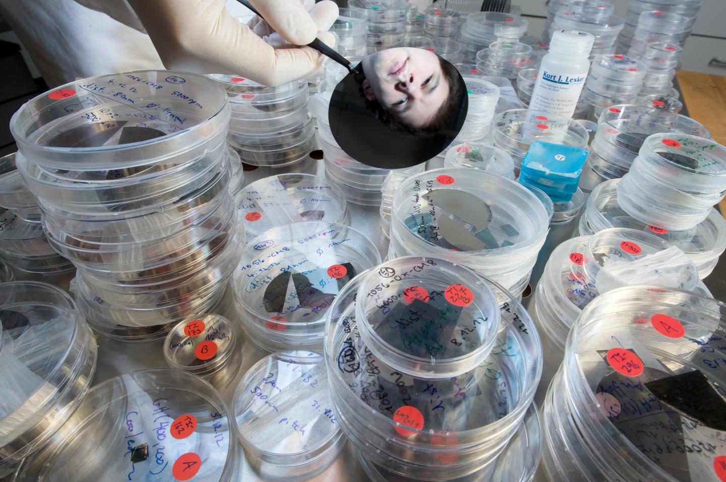 Magnetic Particles Propel the Way to Treatmen | EurekAlert!