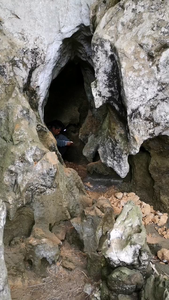 Ngu Hao 2 in-situ cave sedimen [IMAGE] | EurekAlert! Science News Releases