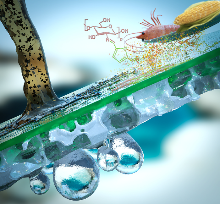 Shrimply the best composite membranes | EurekAlert!