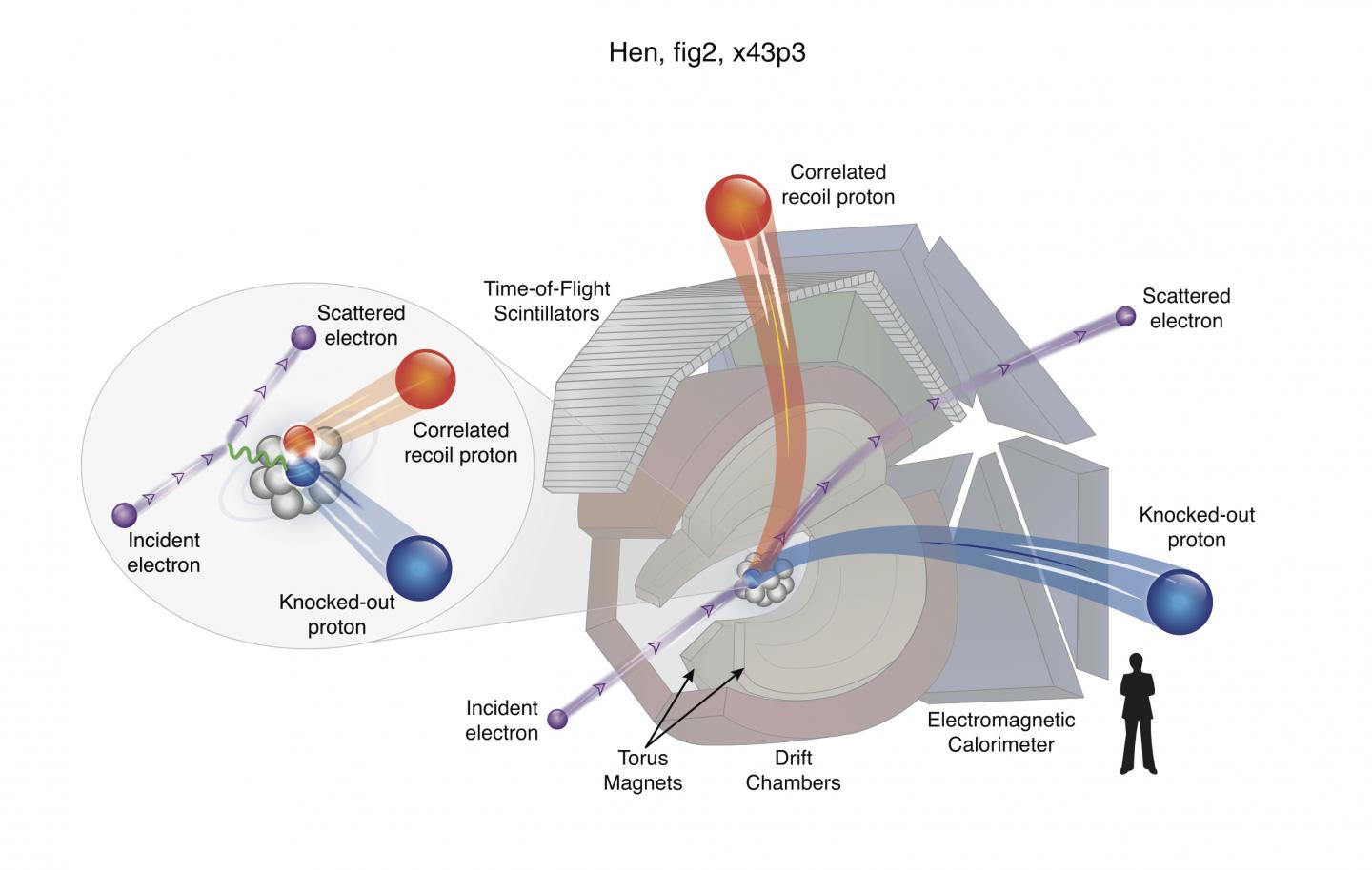 Illustration of Jefferson Lab' [IMAGE] | EurekAlert! Science News Releases