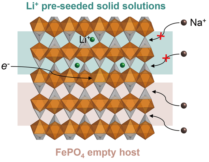 Seeding diagram [IMAGE] | EurekAlert! Science News Releases