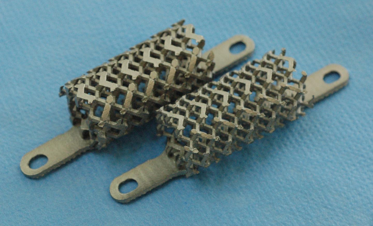 How metal scaffolds enhance the bone healing | EurekAlert!