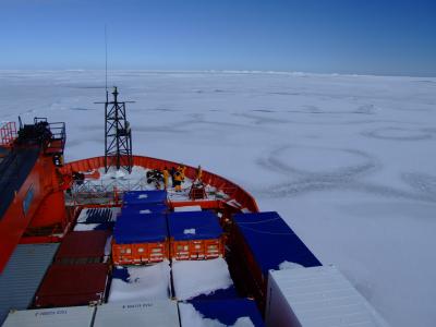 Australian Icebreaker [IMAGE] | EurekAlert! Science News Releases
