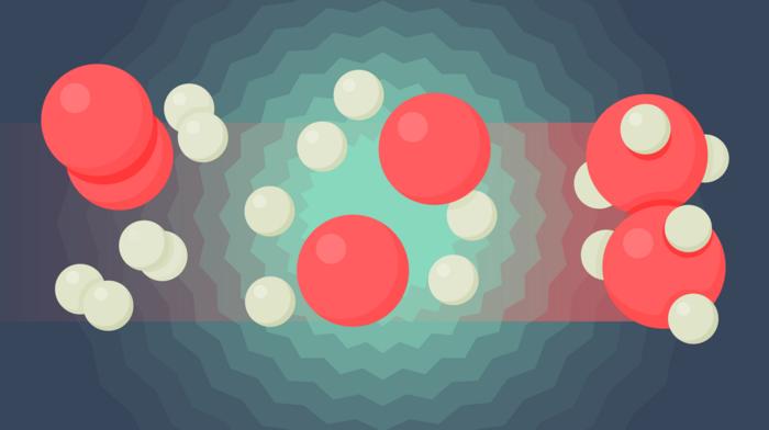 Illustration [IMAGE] | EurekAlert! Science News Releases