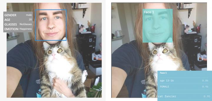 Morgan Klaus Scheuerman [IMAGE] | EurekAlert! Science News Releases