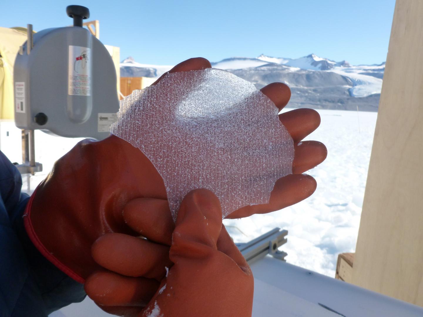 Ice Core Sample From Antarctic IMAGE EurekAlert Science News Releases