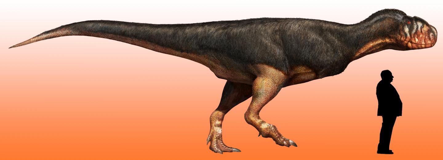 Abelisaur [IMAGE] | EurekAlert! Science News Releases