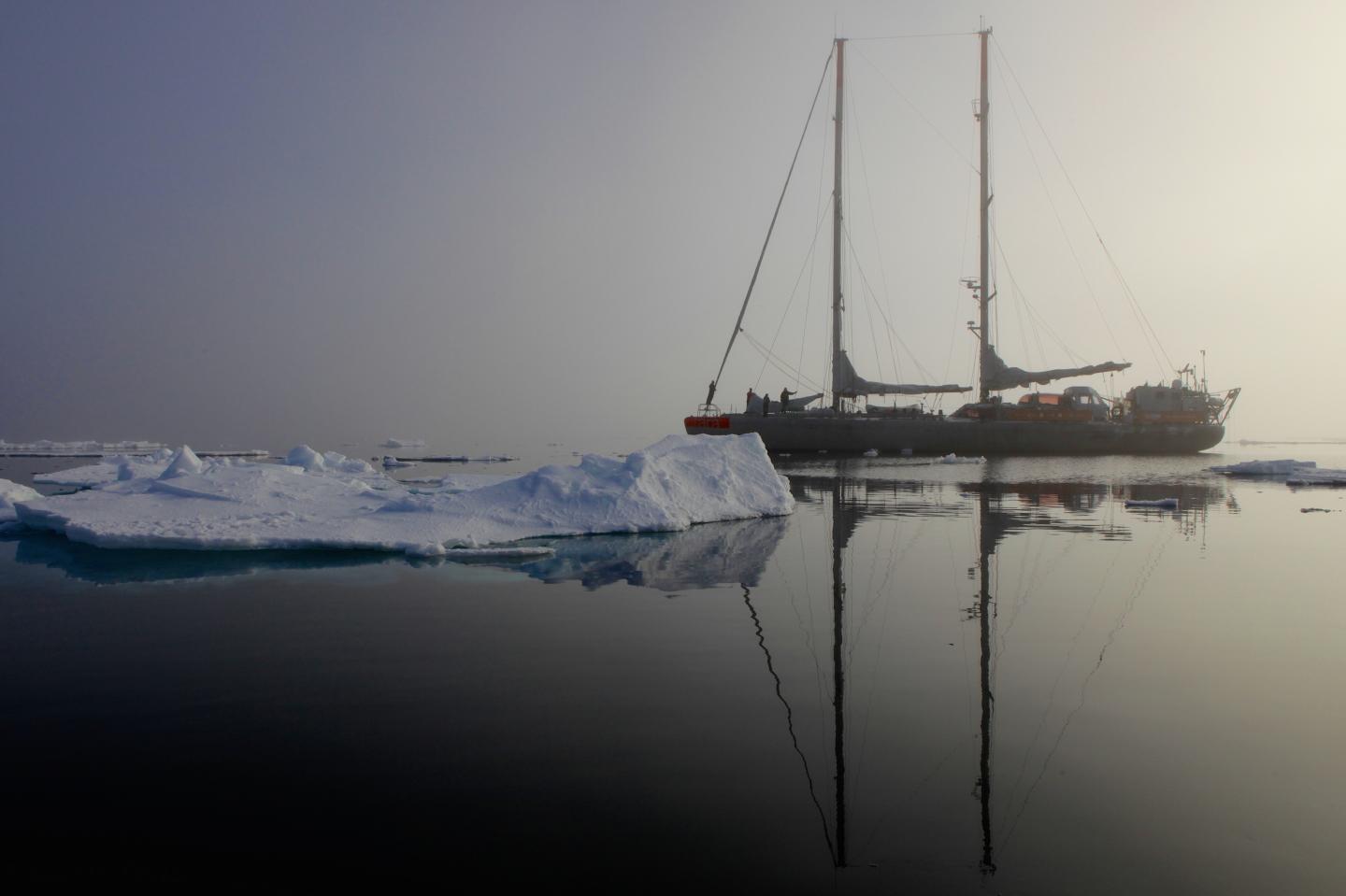 Tara Oceans Expedition Yields Treasure Trove | EurekAlert!