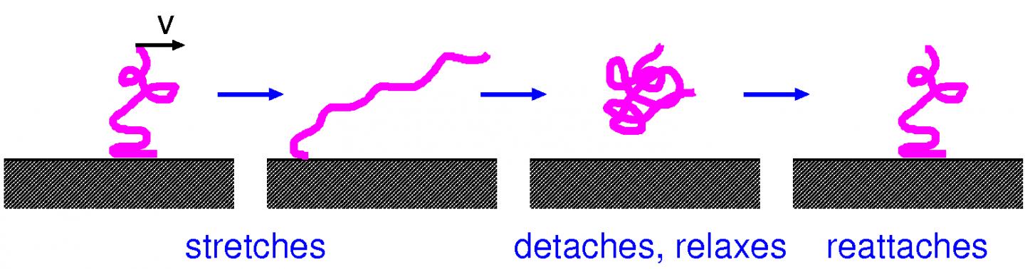 Polymer Chain [IMAGE] | EurekAlert! Science News Releases