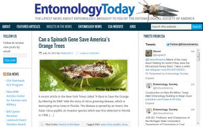 The Entomology Today Blog [IMAGE] | EurekAlert! Science News Releases
