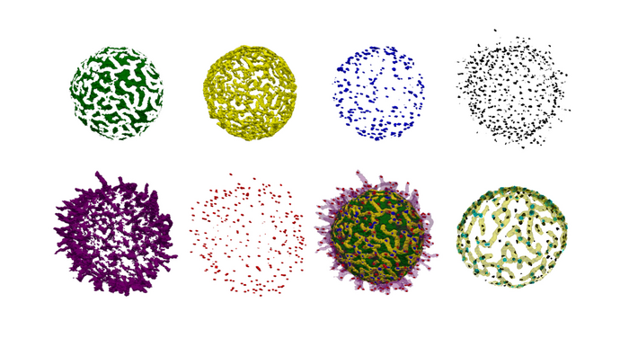 Newly discovered surface struc [IMAGE] | EurekAlert! Science News Releases