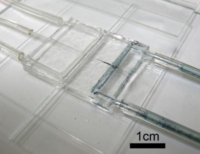 Microinjection Device [IMAGE] | EurekAlert! Science News Releases