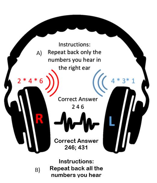 dichotic-digit-stimuli-present-image-eurekalert-science-news-releases
