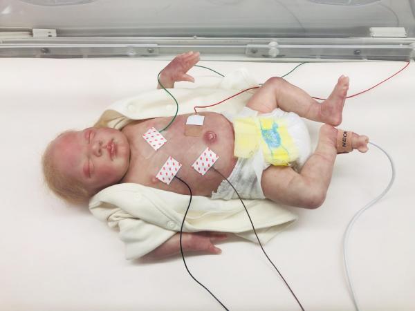 Baby Monitoring -- Traditional [IMAGE] | EurekAlert! Science News Releases