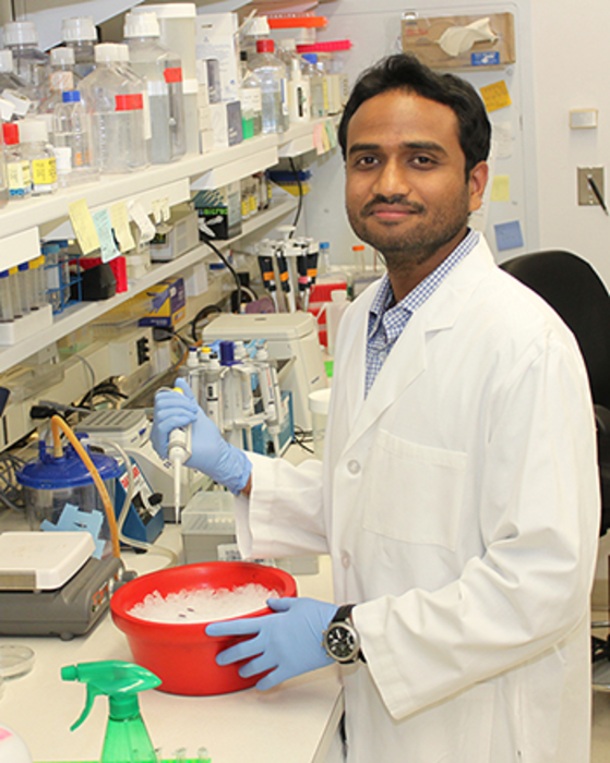 Aman George, Ph.D. [IMAGE] | EurekAlert! Science News Releases