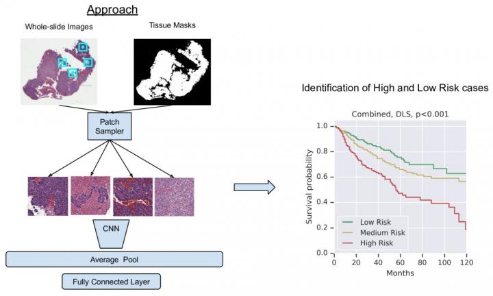 A machine-learning model shows [IMAGE] | EurekAlert! Science News Releases