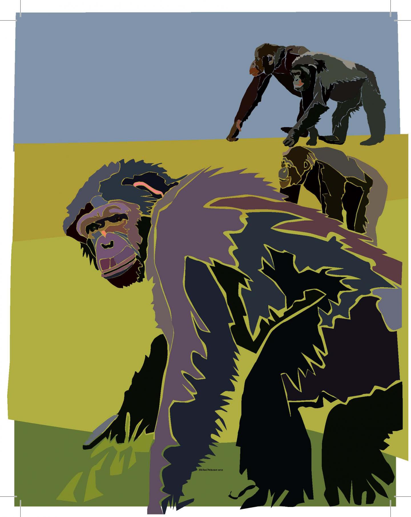 Chimps and Bonobos Had a Fling in the Past (1 | EurekAlert!