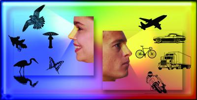 Gender Differences in Object R [IMAGE] | EurekAlert! Science News Releases