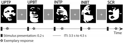 How does the brain recognize faces from minim | EurekAlert!