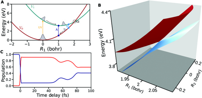 Overview of the model system. [IMAGE] | EurekAlert! Science News Releases