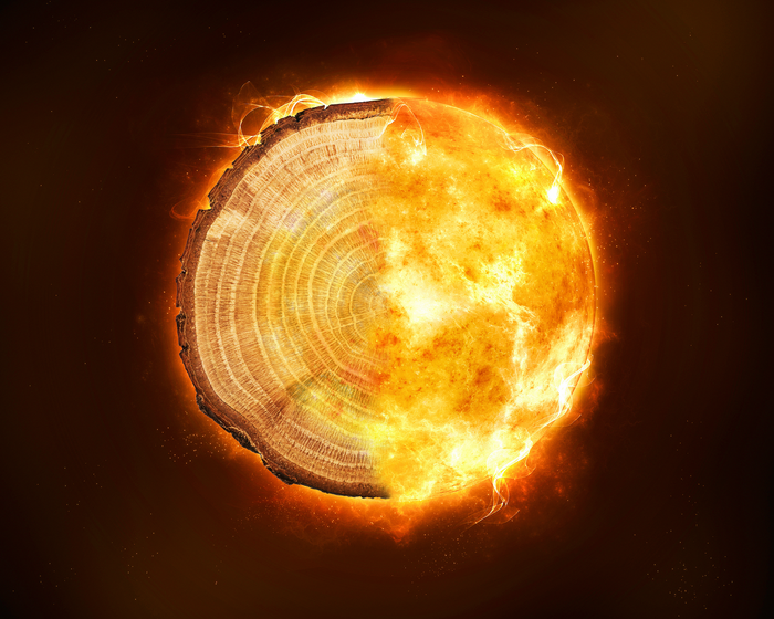Composite image of tree rings [IMAGE] | EurekAlert! Science News Releases