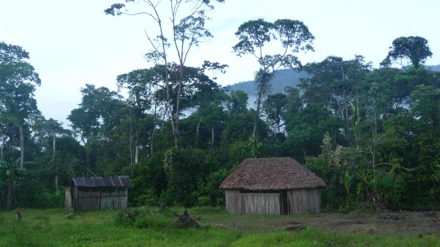 Indigenous and More Sedentary [IMAGE] | EurekAlert! Science News Releases